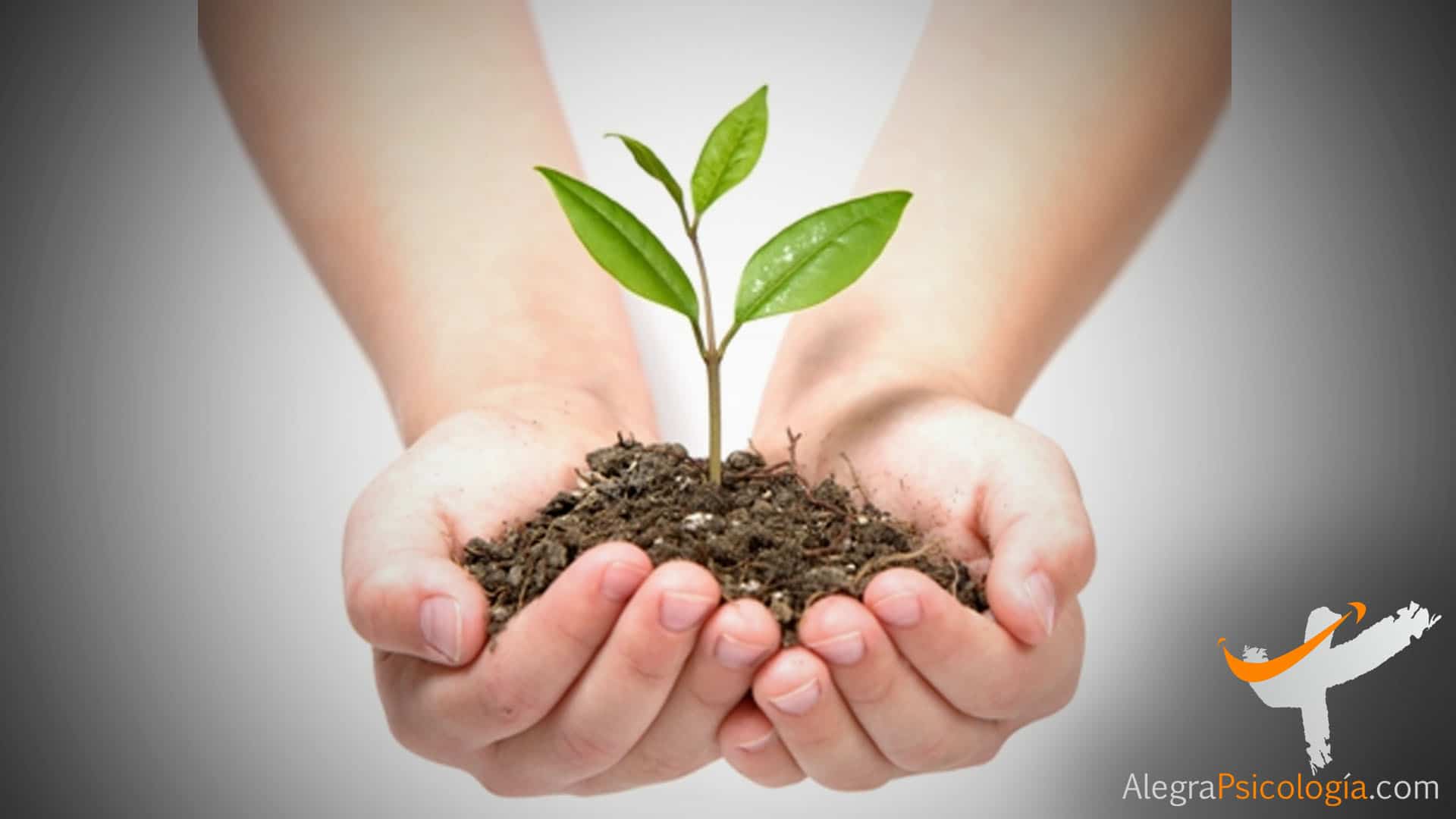 Comprométete a crear - Alegra Psicólogos Málaga